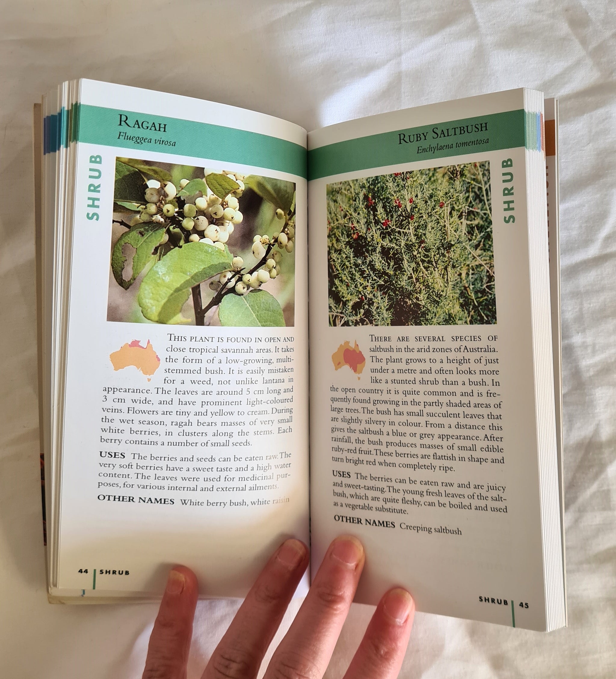 Bush Tucker Field Guide by Les Hiddins – Morgan's Rare Books