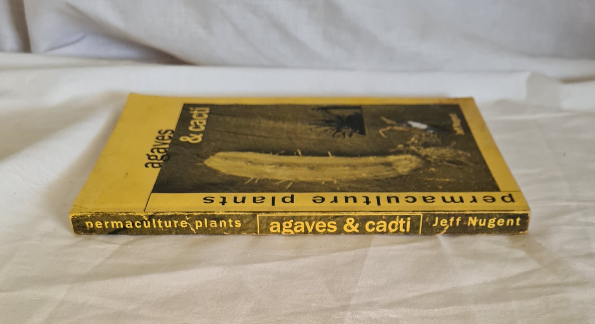 Permaculture Plants Agaves and Cacti by Jeff Nugent – Morgan's Rare Books