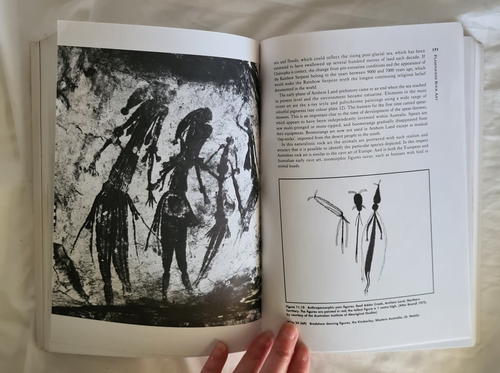 Archaeology of the Dreamtime by Josephine Flood – Morgan's Rare Books