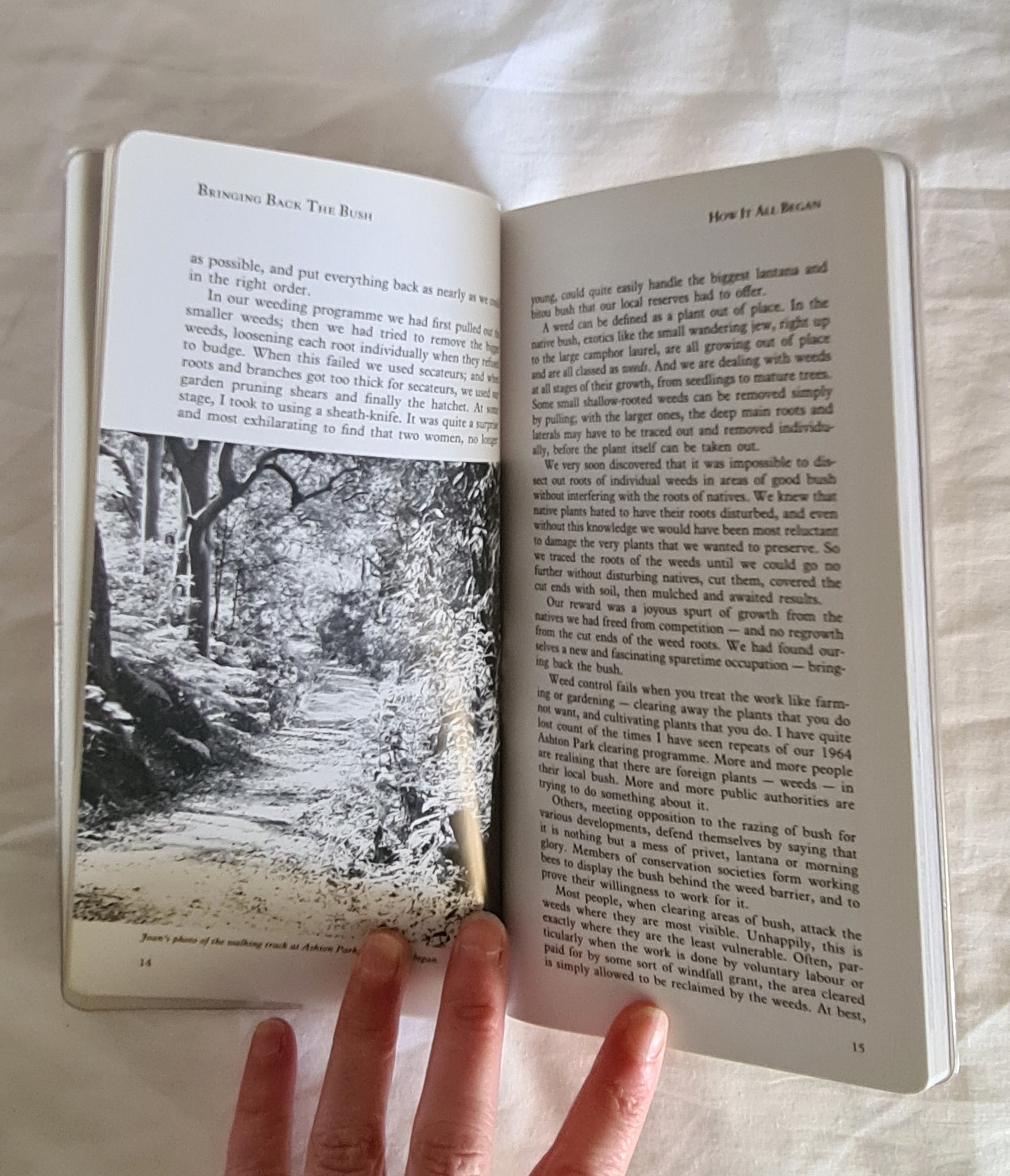 Bringing Back the Bush by Joan Bradley – Morgan's Rare Books