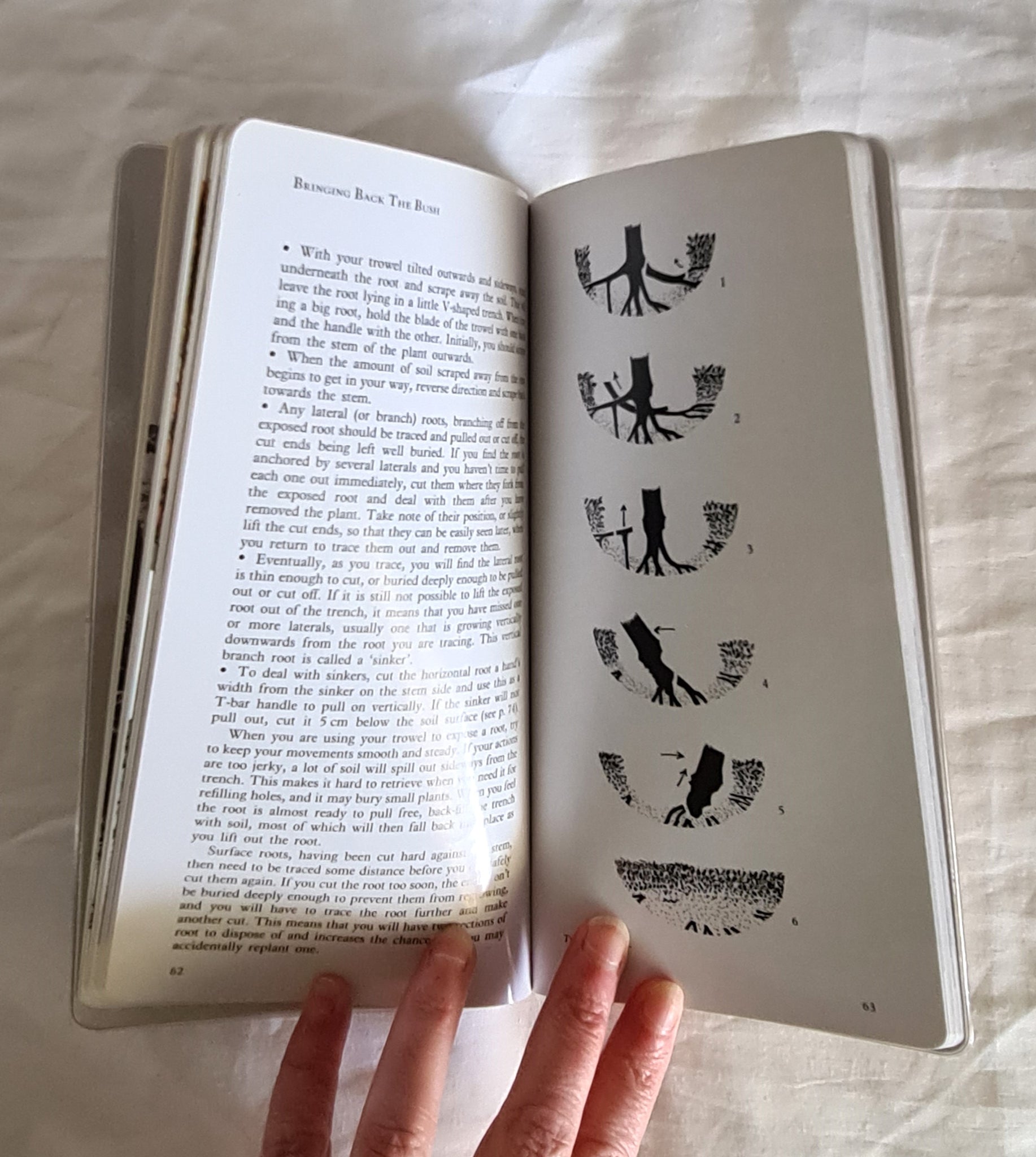 Bringing Back the Bush by Joan Bradley – Morgan's Rare Books