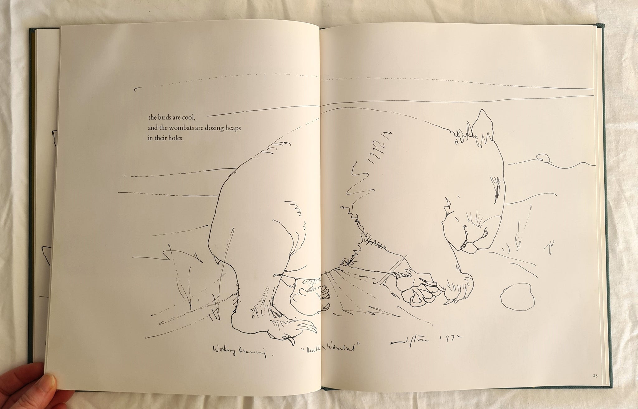 The Death of a Wombat by Ivan Smith – Morgan's Rare Books