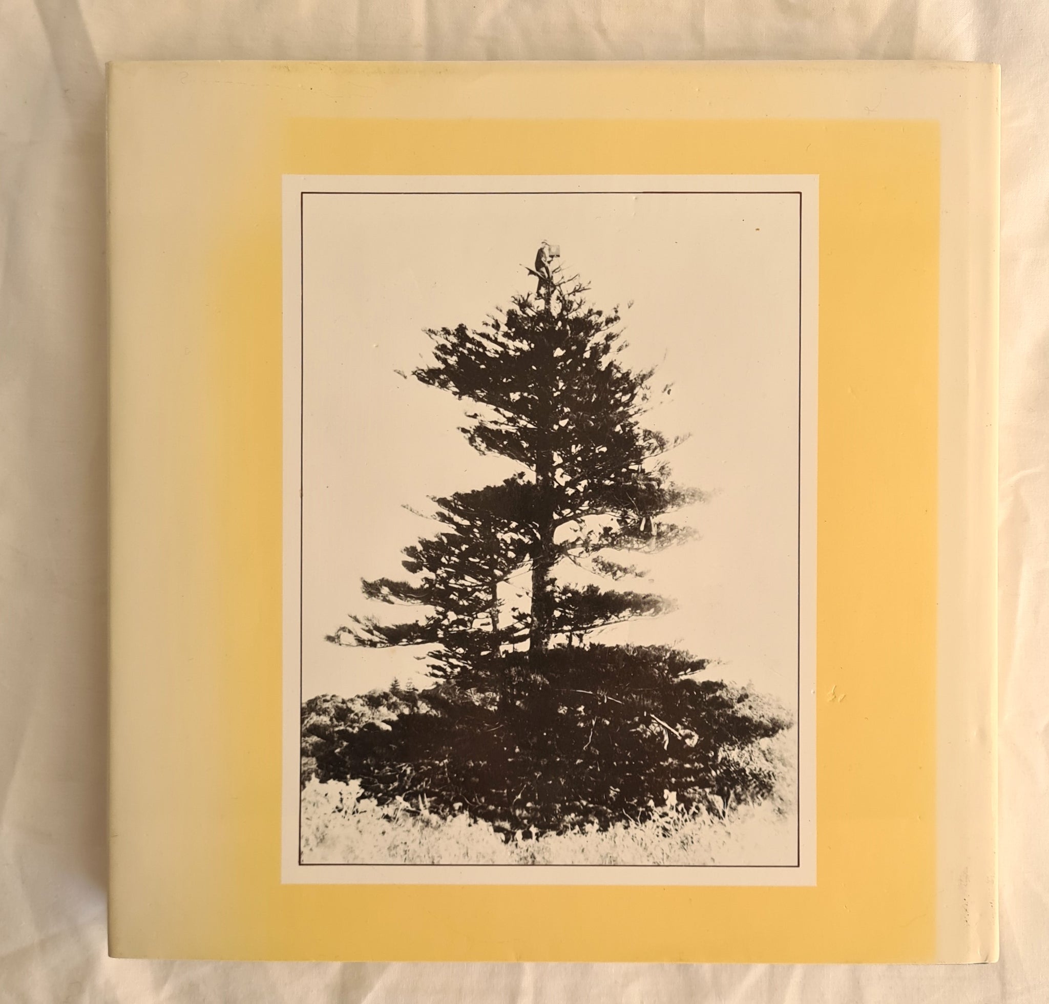 Tasmanian Photographer by Margaret Tassell and David Wood – Morgan's ...
