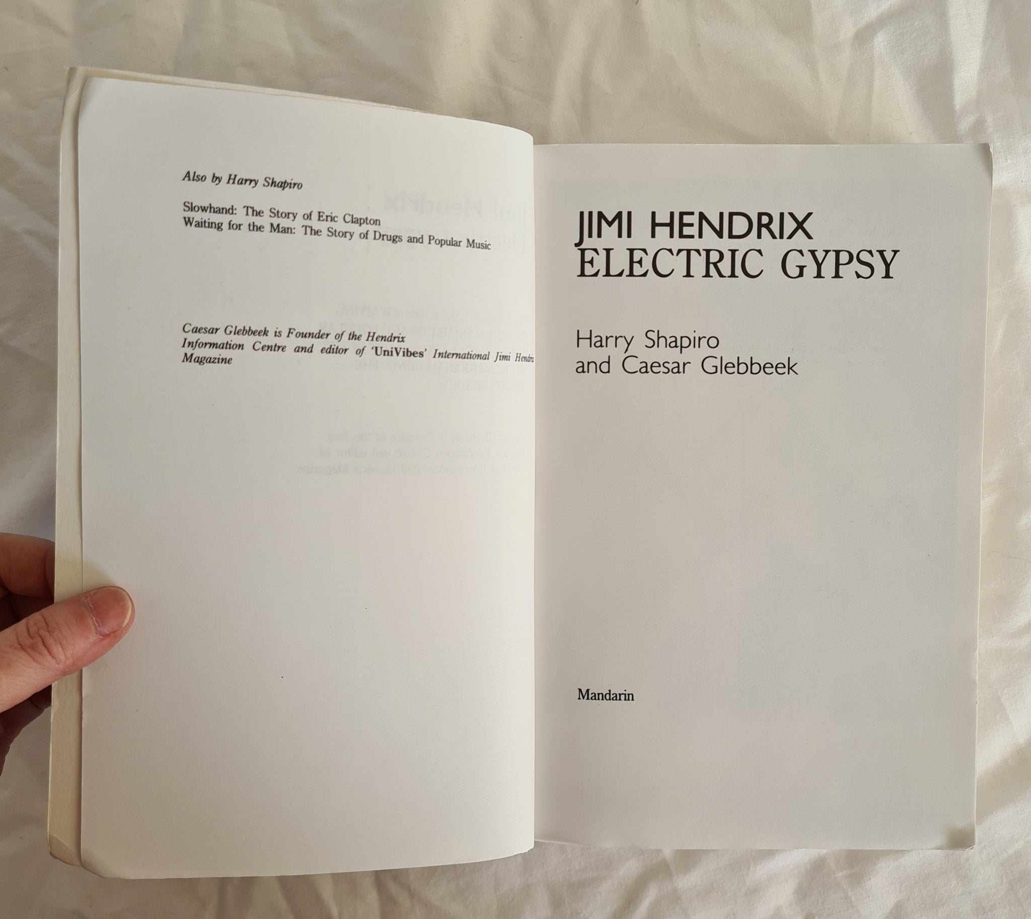 Jimi Hendrix Electric Gypsy by Harry Shapiro and Caesar Glebbeek ...