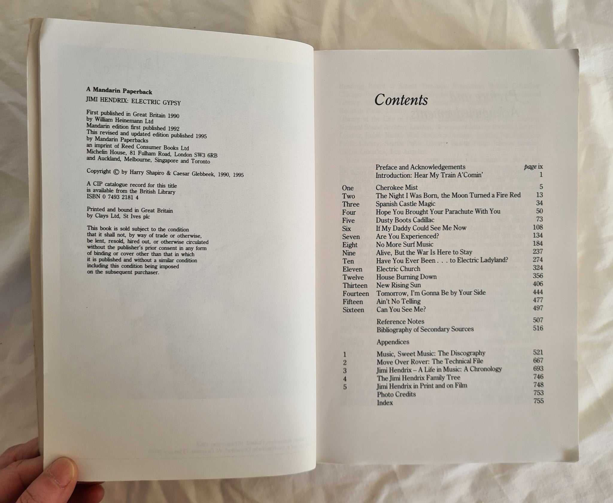 Jimi Hendrix Electric Gypsy by Harry Shapiro and Caesar Glebbeek ...