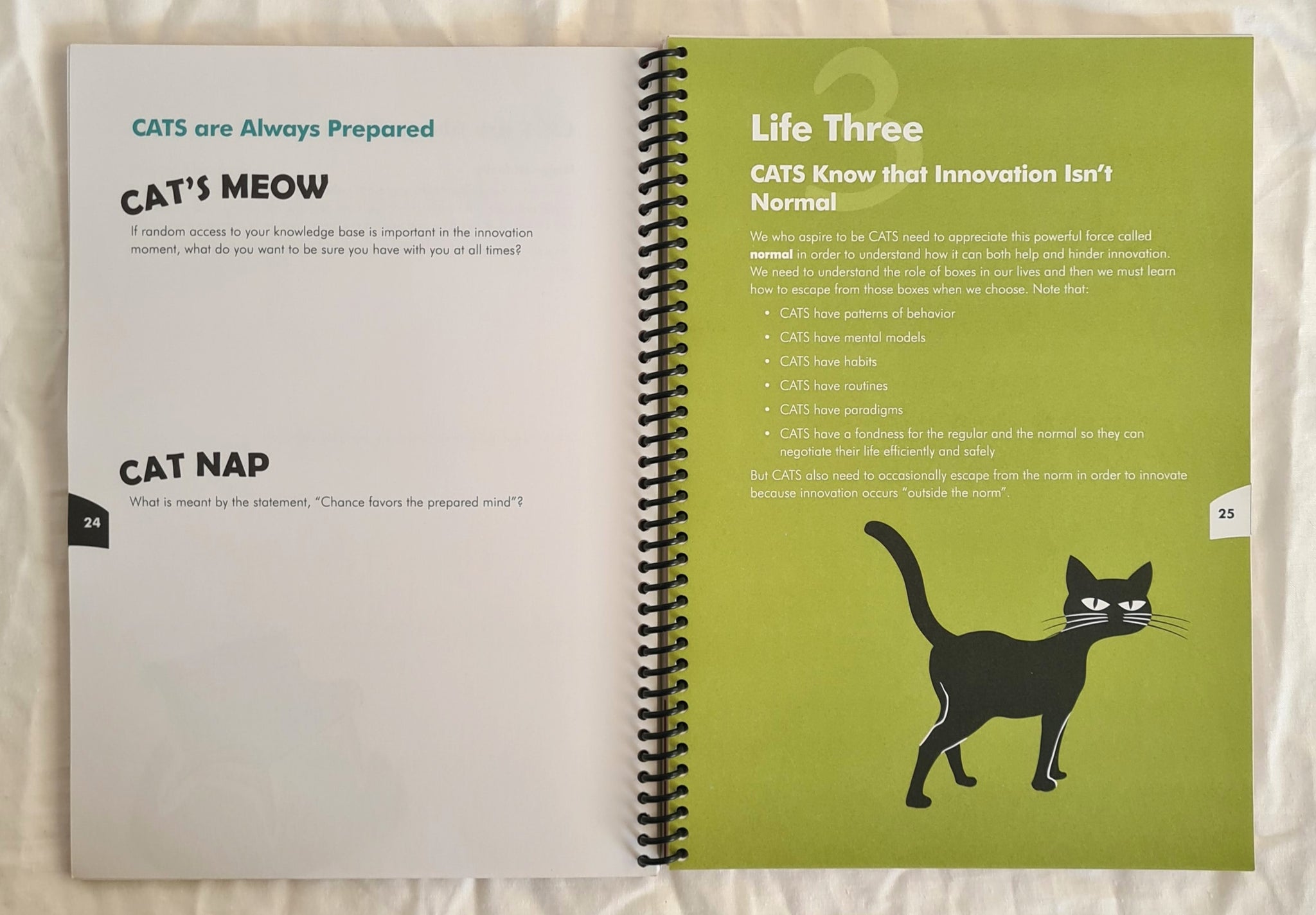 CATS: The Personal Guide by Stephen C. Ludin, Vivienne Anthon, Carolyn ...