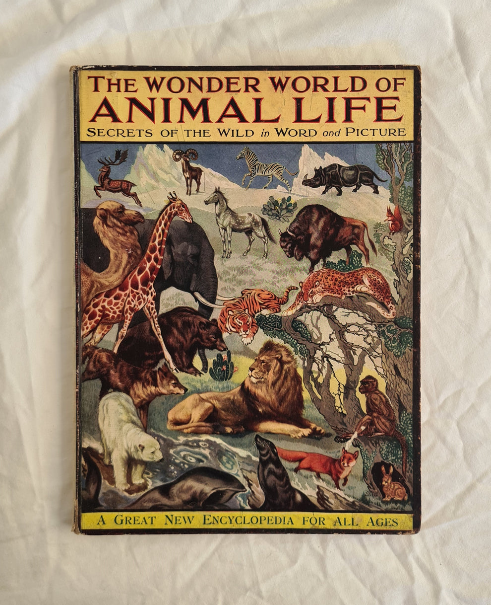 The Wonderful World of Animal Life – Morgan's Rare Books