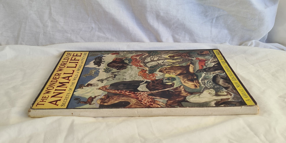 The Wonderful World of Animal Life – Morgan's Rare Books