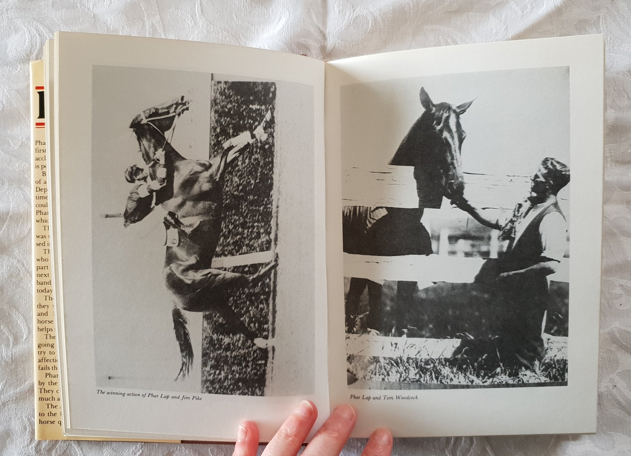 The Phar Lap Story by Michael Wilkinson – Morgan's Rare Books