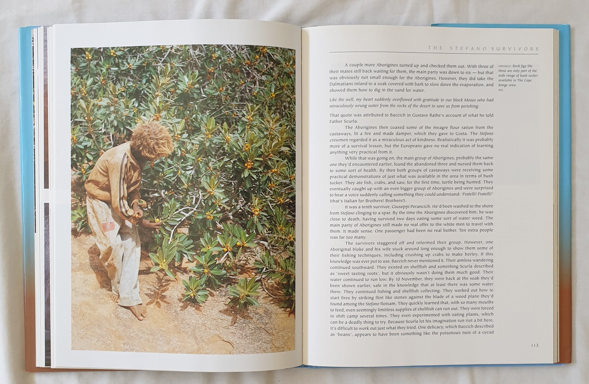 Bush Tucker Man by Les Hiddins – Morgan's Rare Books