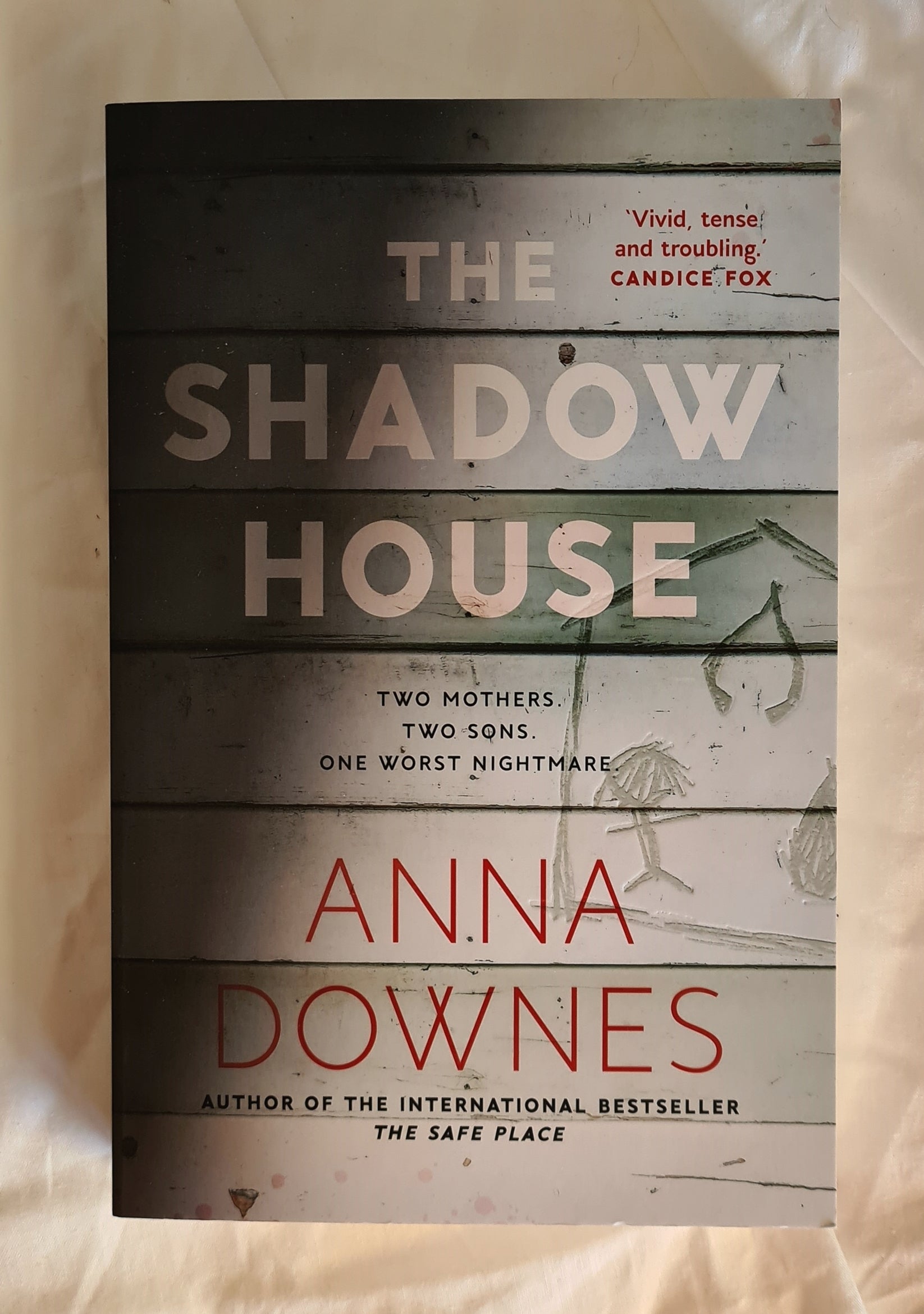 The Shadow House by Anna Downes – Morgan's Rare Books
