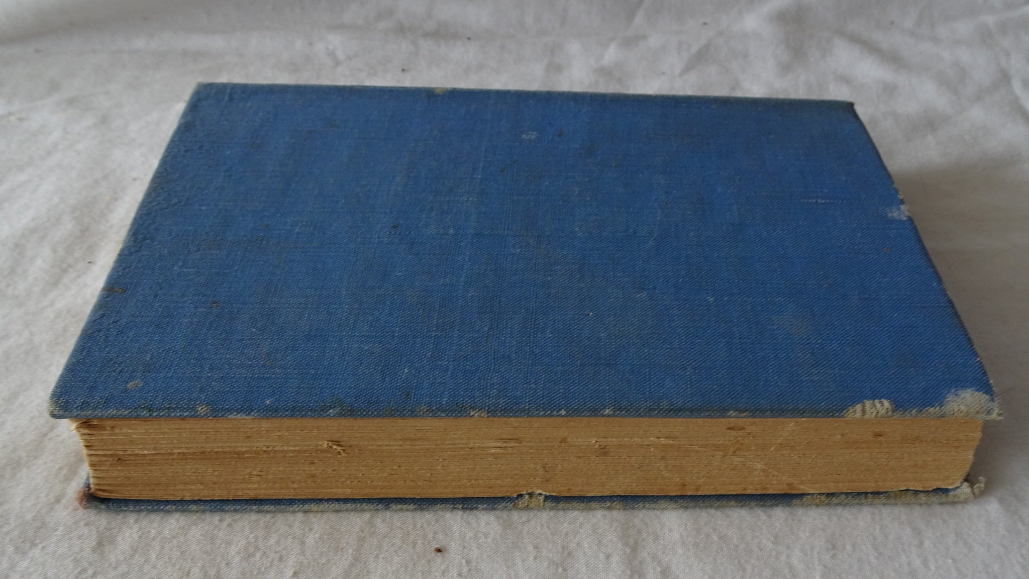 Cyclone by Vance Palmer – Morgan's Rare Books