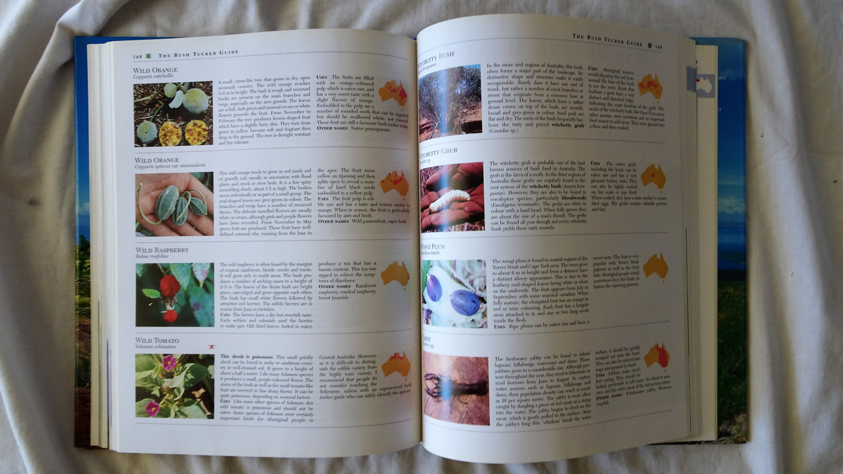 Explore Wild Australia with the Bush Tucker Man by Les Hiddins – Morgan ...