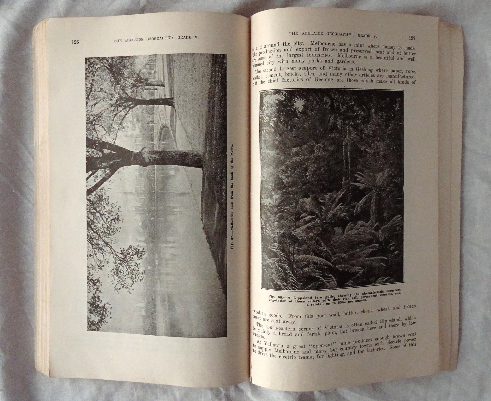 The Adelaide Geography Grade V. – Morgan's Rare Books