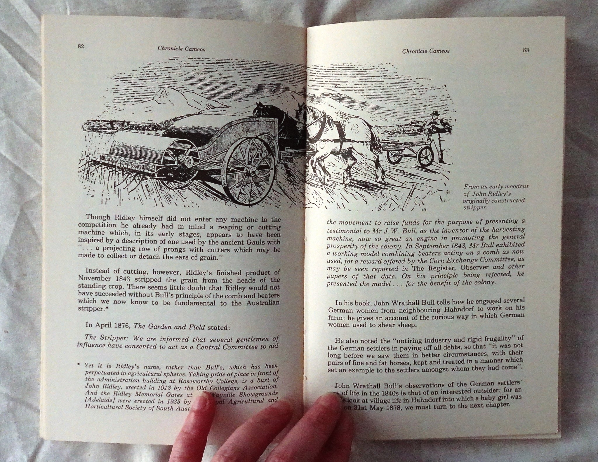 Chronicle Cameos by Mary Broughton – Morgan's Rare Books