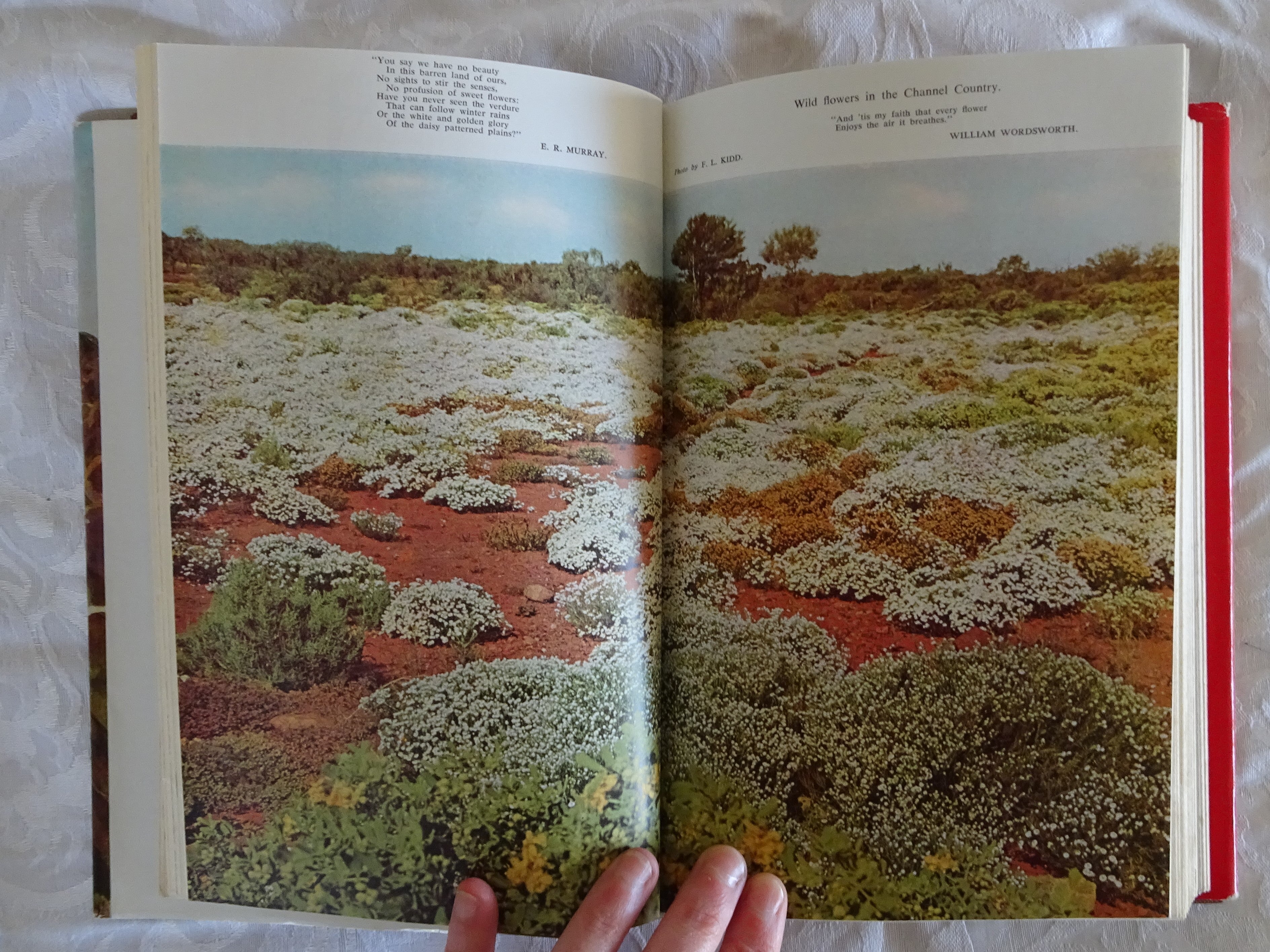 Where Strange Gods Call by A. M. Duncan-Kemp – Morgan's Rare Books